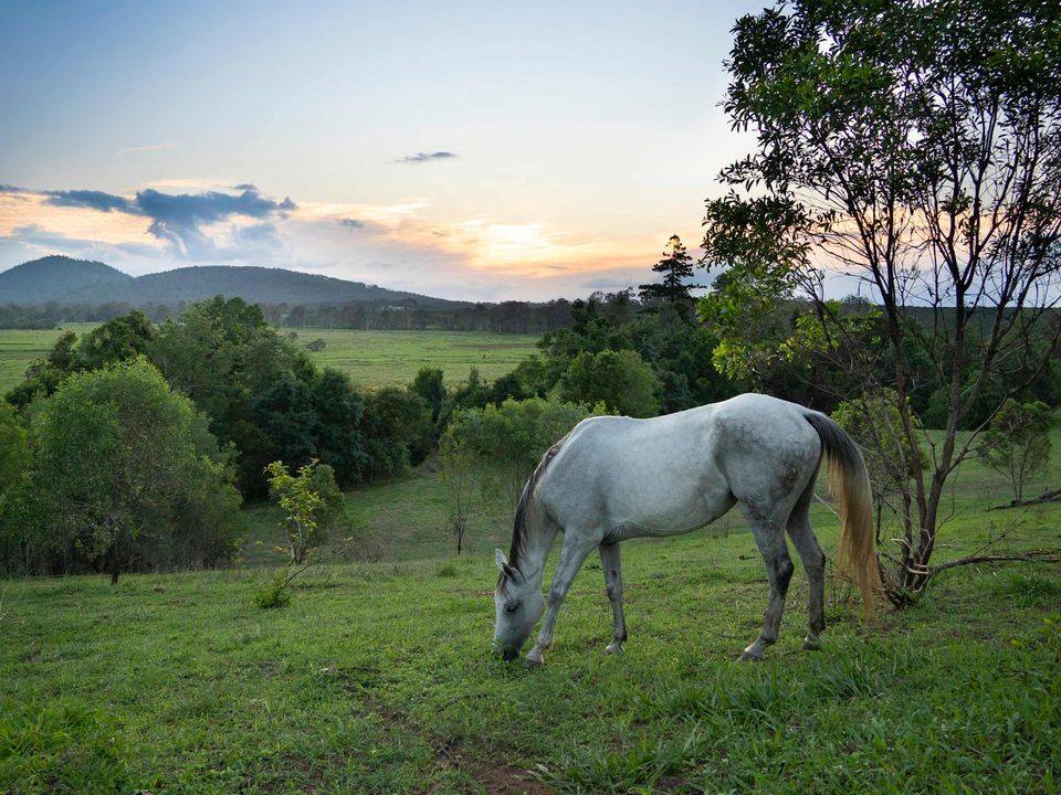 Hidden Camp - Farm Stay in Maryborough, QLD | FarmFinder