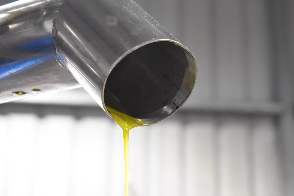 Tasmanian Olive Groves - Farm in Moonah, TAS | FarmFinder